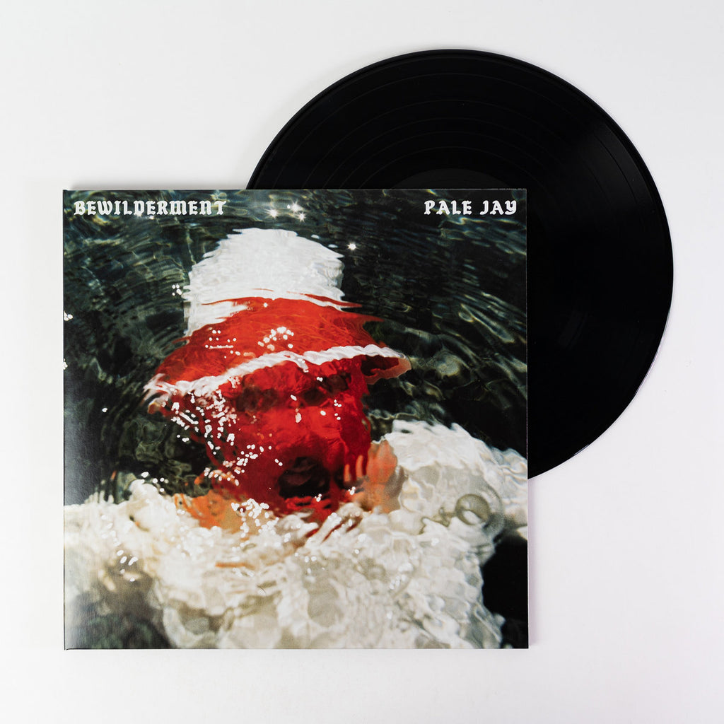 Pale Jay - Bewilderment (LP) – Meditations