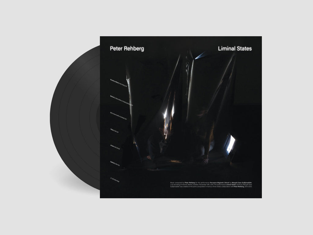 Peter Rehberg - Liminal States (LP) – Meditations