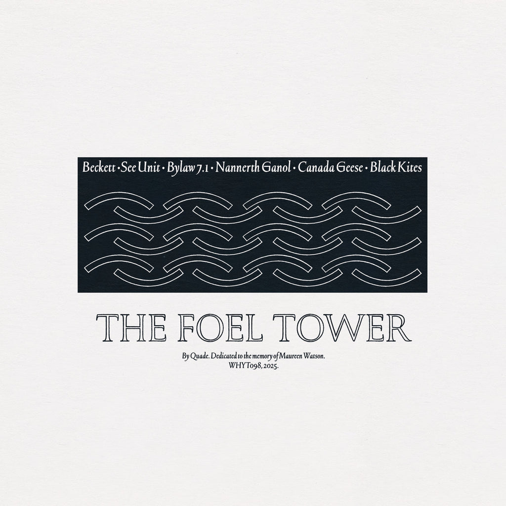Quade - The Foel Tower (LP) – Meditations