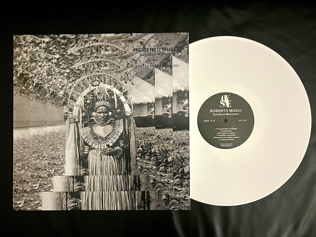 Roberto Musci - Goodbye Monsters (LP) – Meditations
